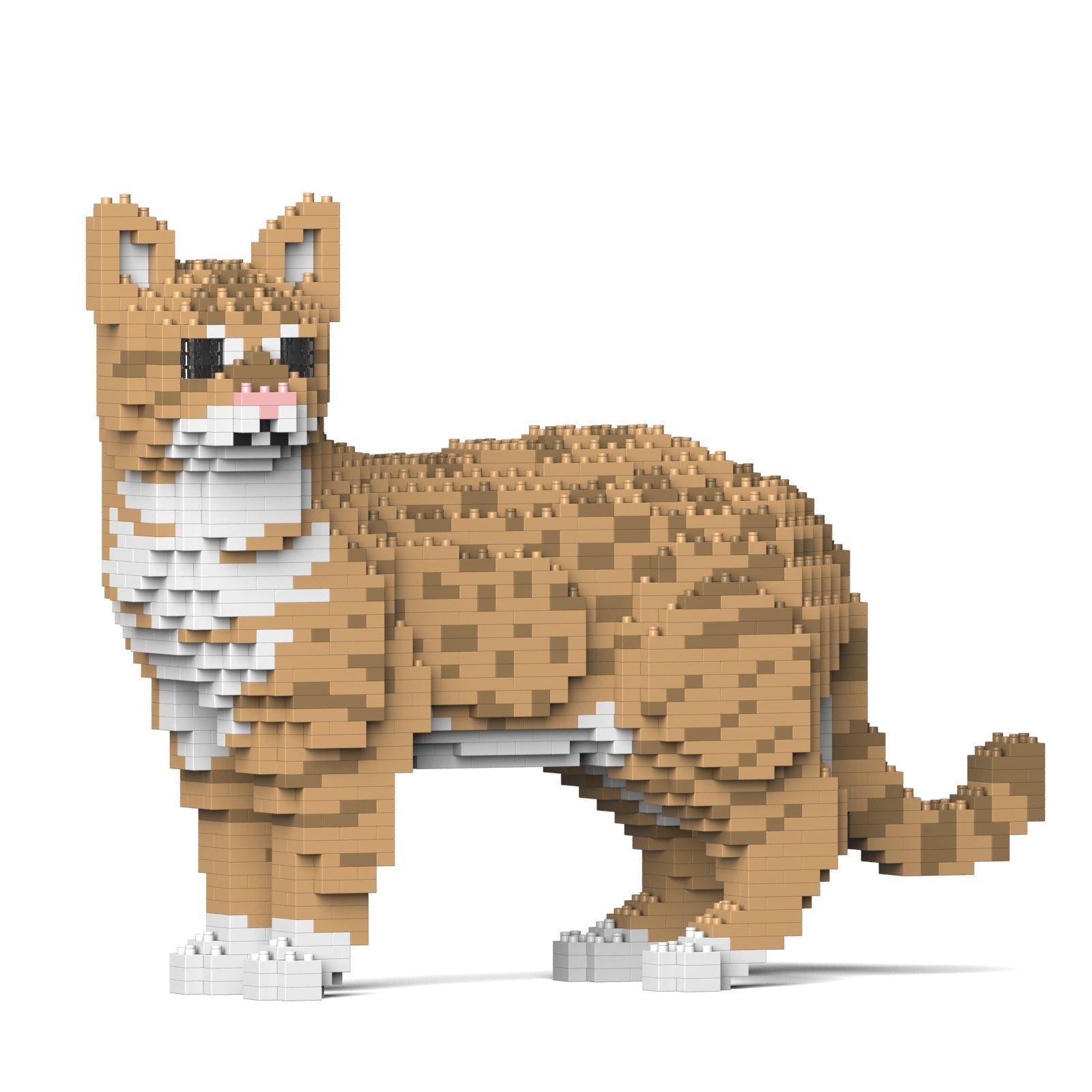 Cat Collection – JEKCA Australia
