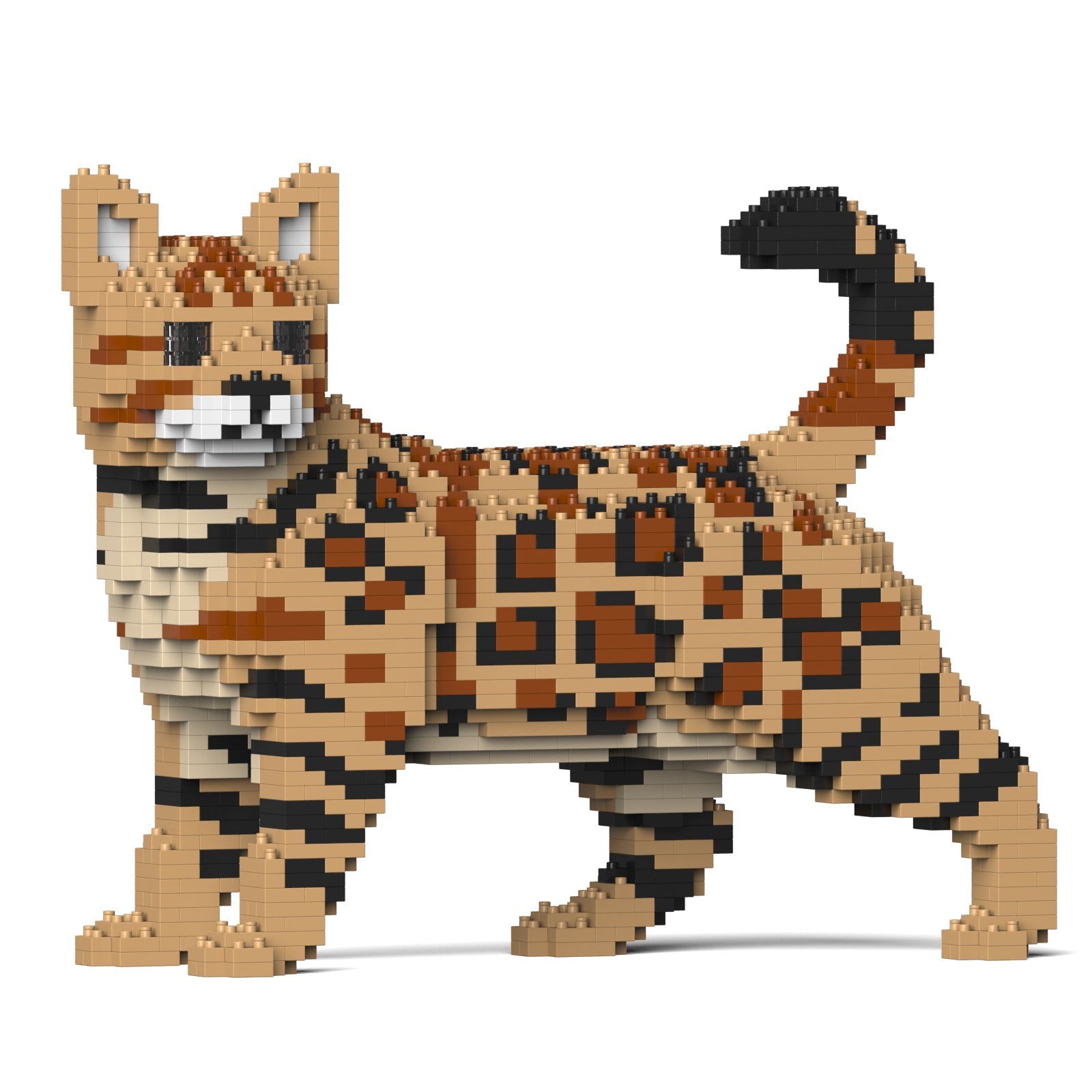Bengal Cat – JEKCA Australia