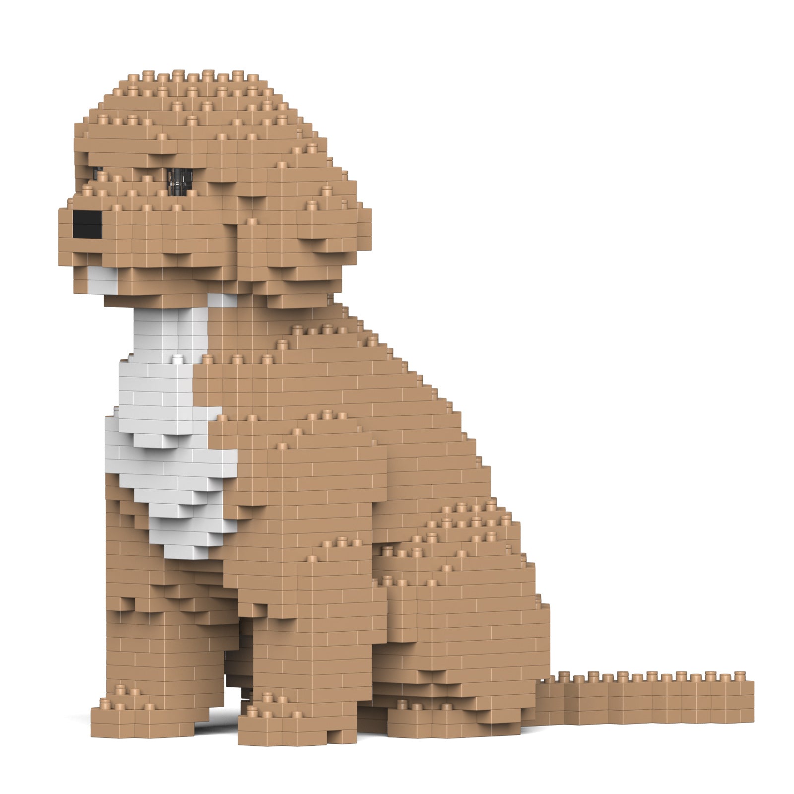 Cockapoo – JEKCA Australia