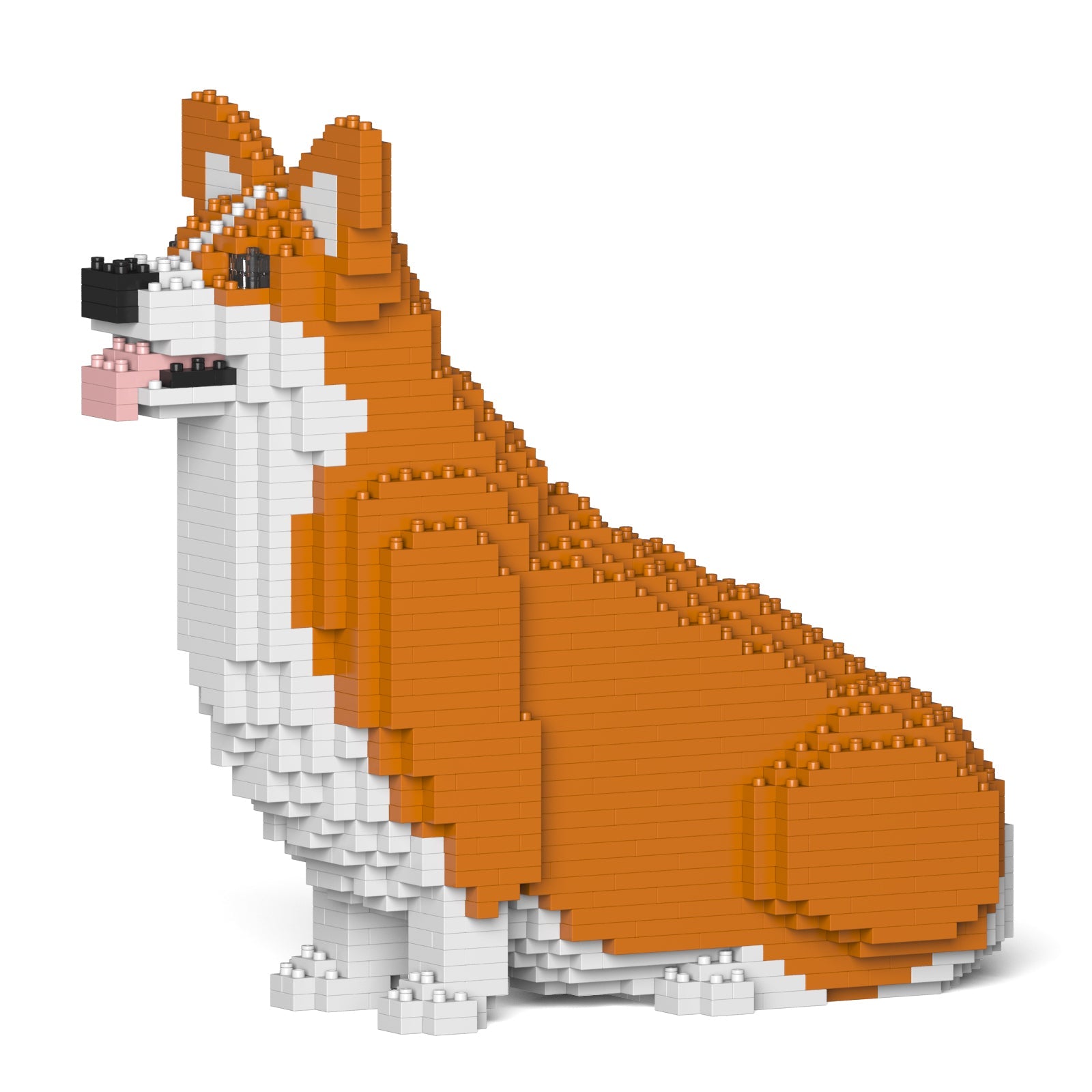 Welsh Corgi – JEKCA Australia