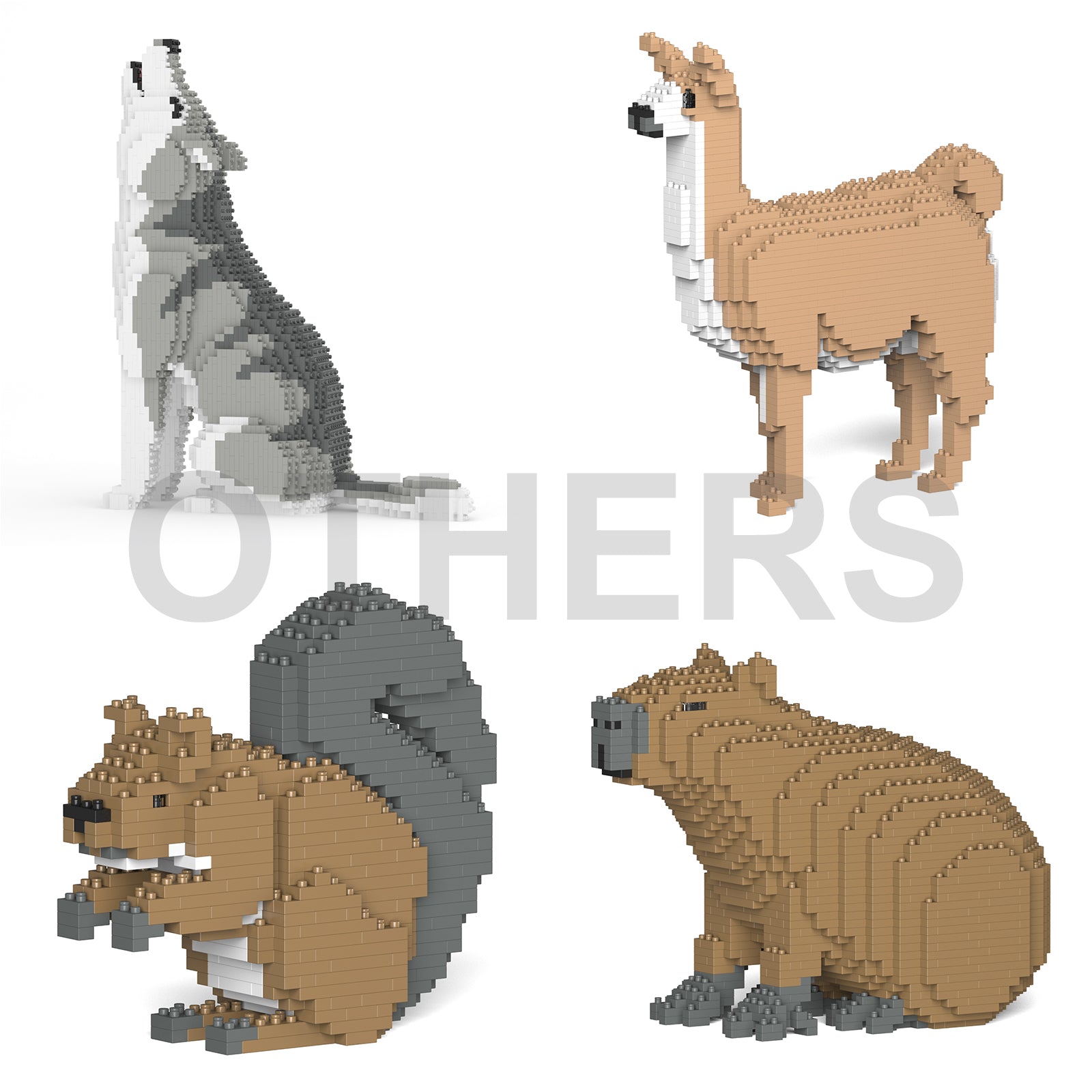 Other Mammal – JEKCA Australia