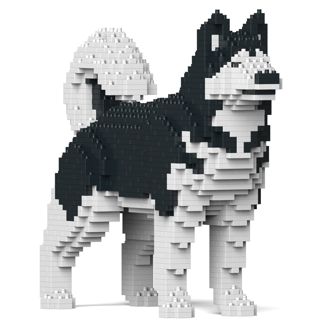 Dog – JEKCA Australia