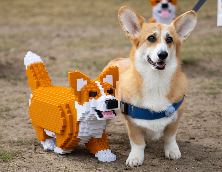 JEKCA Australia & NZ