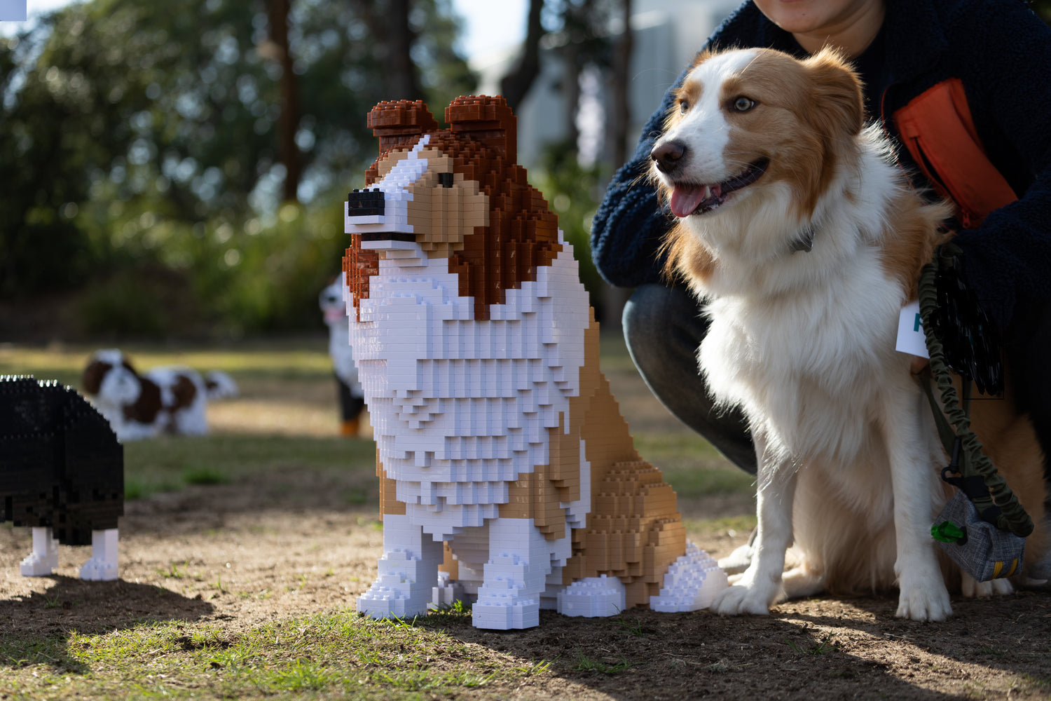 JEKCA Australia & NZ